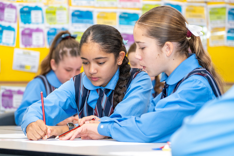 Task 4 • Packing rolls | reSolve Maths